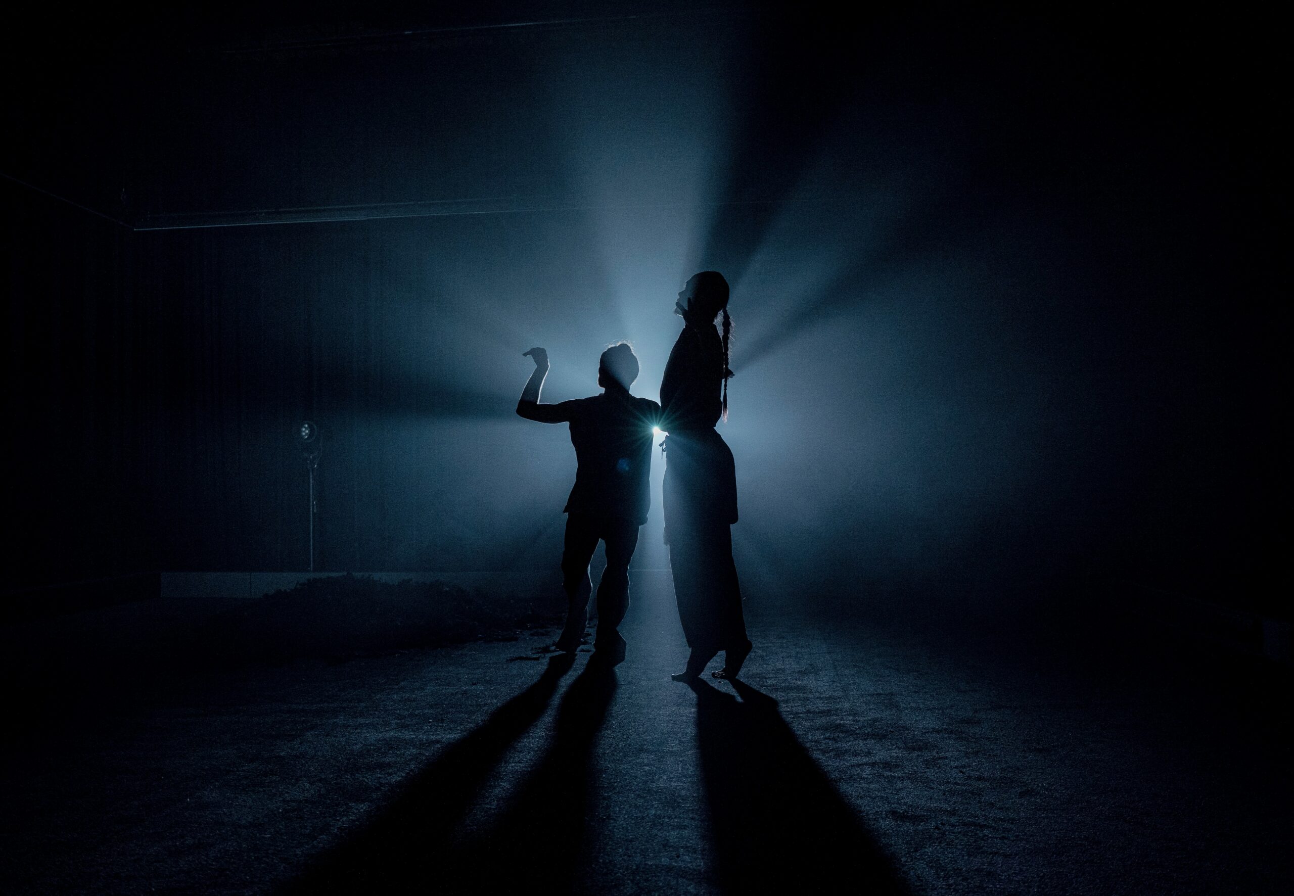 DOX - Birds - Leidse Schouwburg - Stadsgehoorzaal