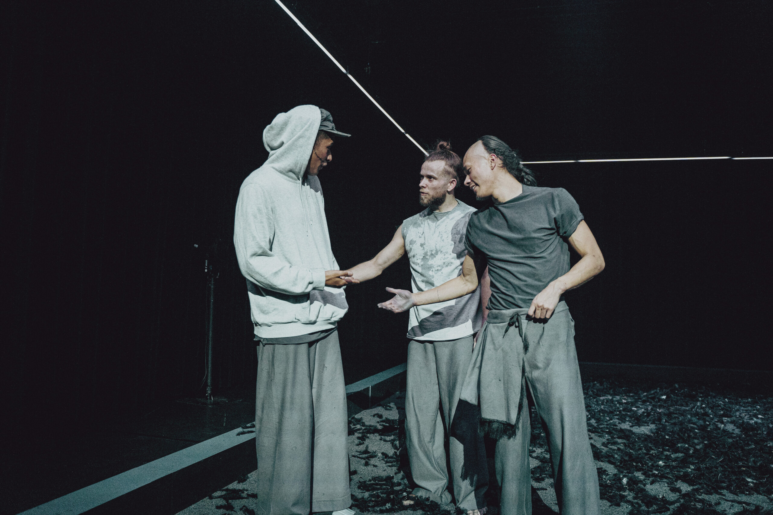 DOX - Birds - Leidse Schouwburg - Stadsgehoorzaal