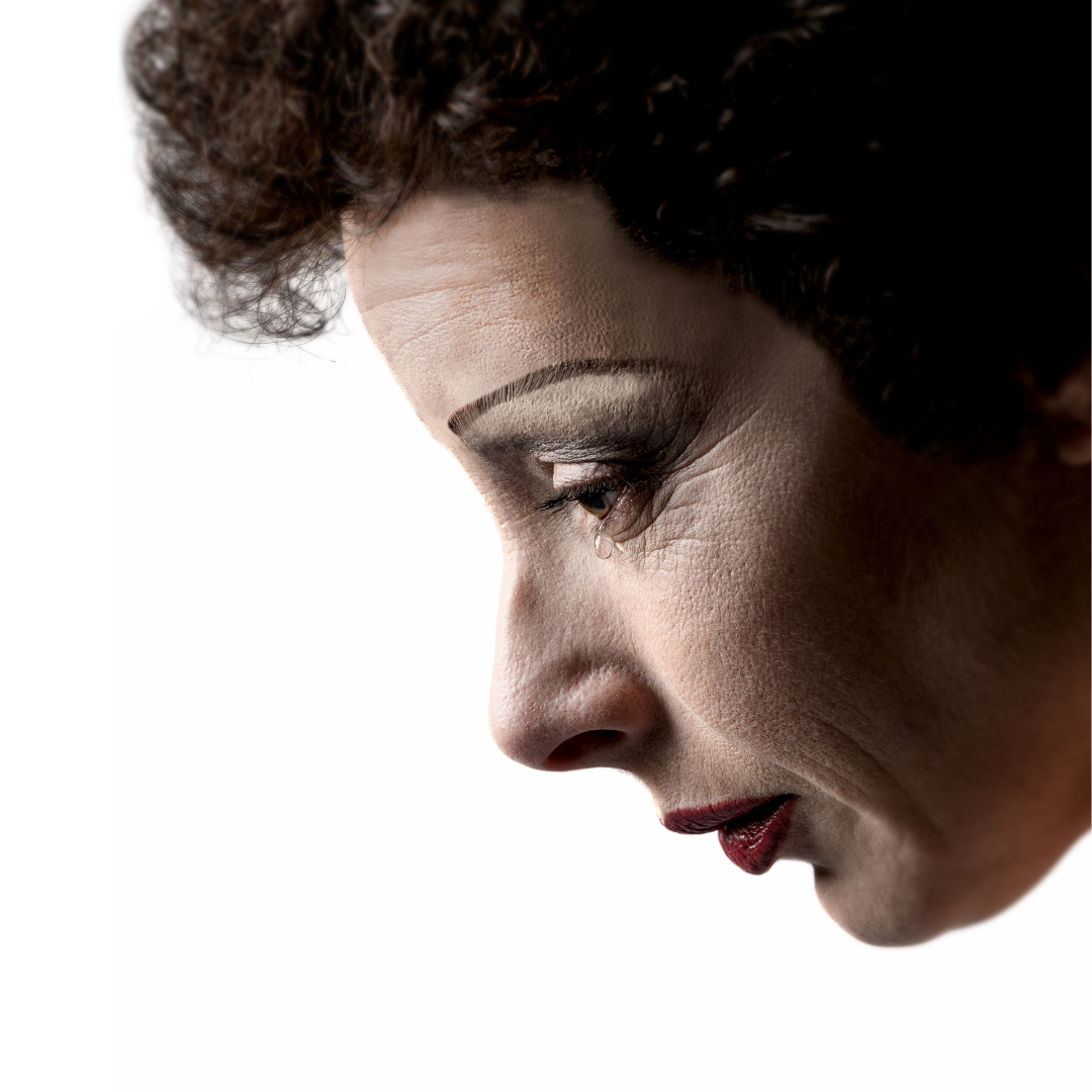 Suzan Seegers, Thomas Cammaert e.a. - Piaf Leidse Schouwburg